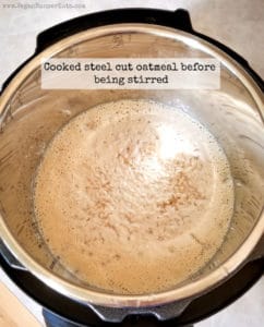 Easy 3-Ingredient Instant Pot Steel Cut Oatmeal