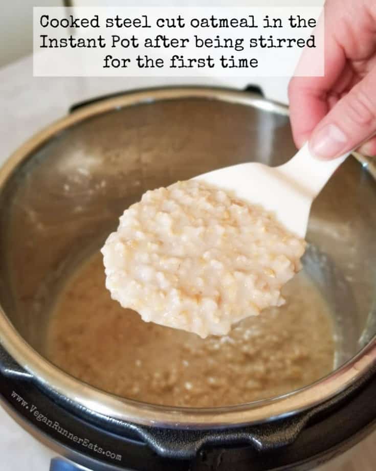 Easy 3-Ingredient Instant Pot Steel Cut Oatmeal